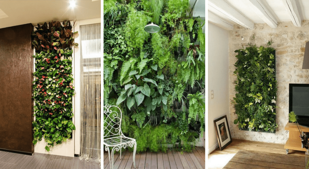 3 consejos para hacer una pared verde tu mismo - COMPARATIVAS DE BRICOLAJE